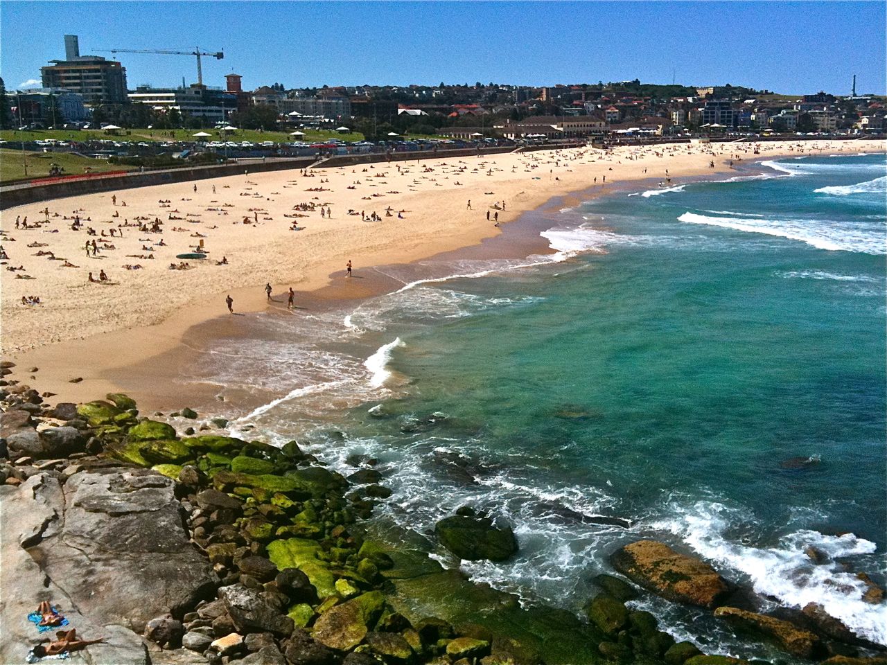 bondi-02 – a Teddy Abroad